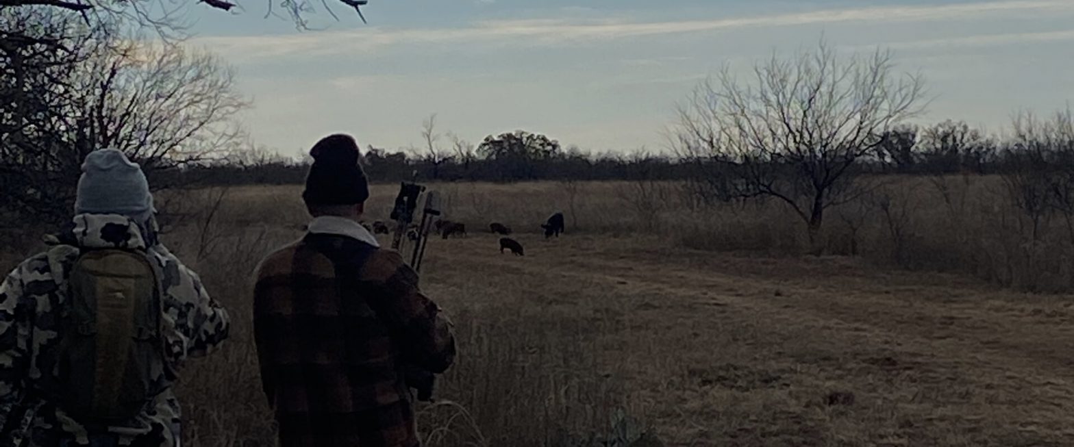 Texas Hog Hunting - The #1 Hog Hunt in TX - SandFork Ranch