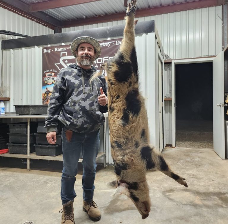 Wild Hog Hunting in Texas | Guided Hunts for Wild Hogs & Pigs