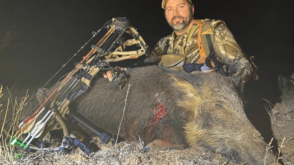 Wild Boar Meat - Facts of a Boar