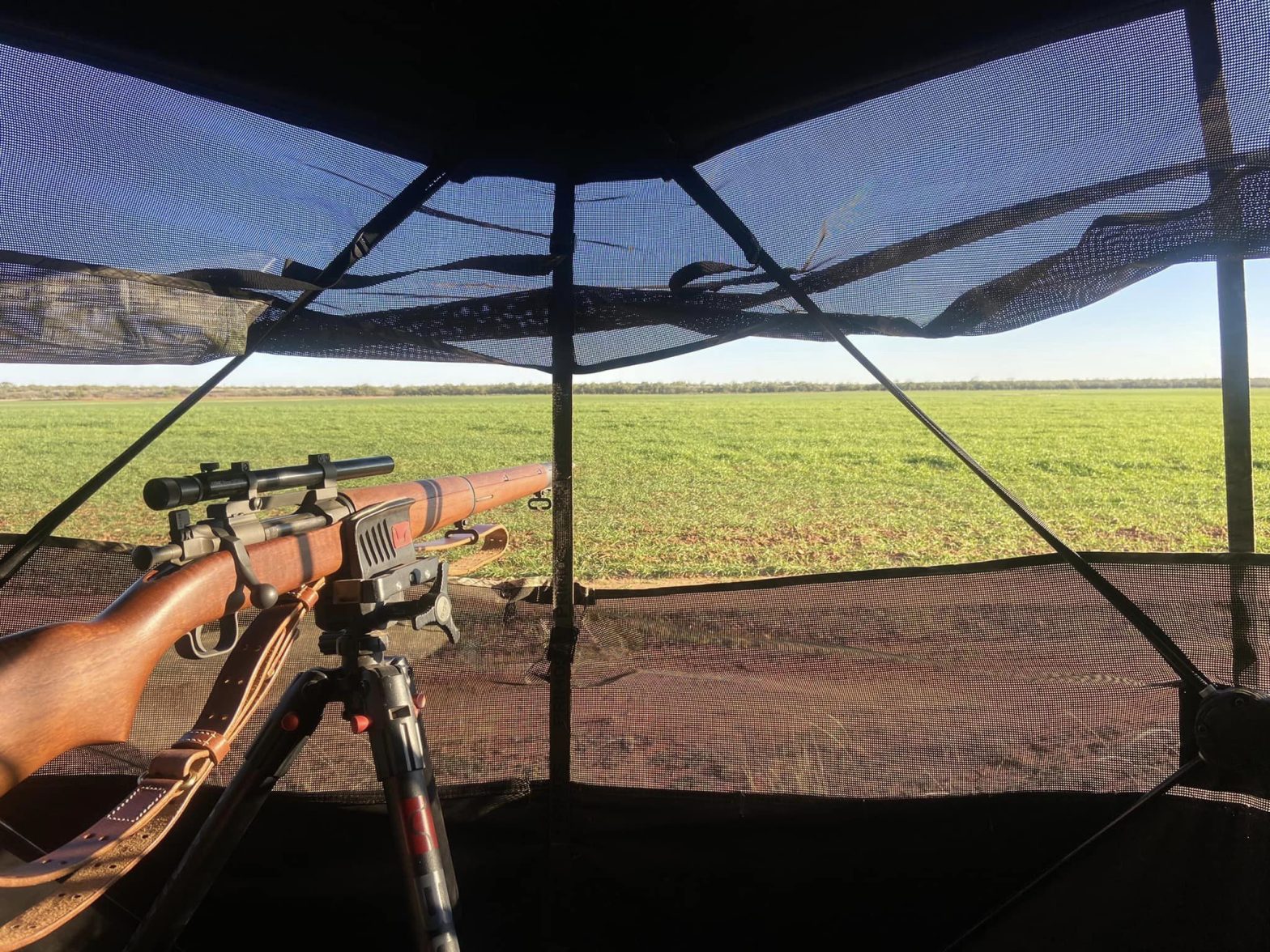 Texas Hog Hunting - The #1 Hog Hunt in TX - SandFork Ranch